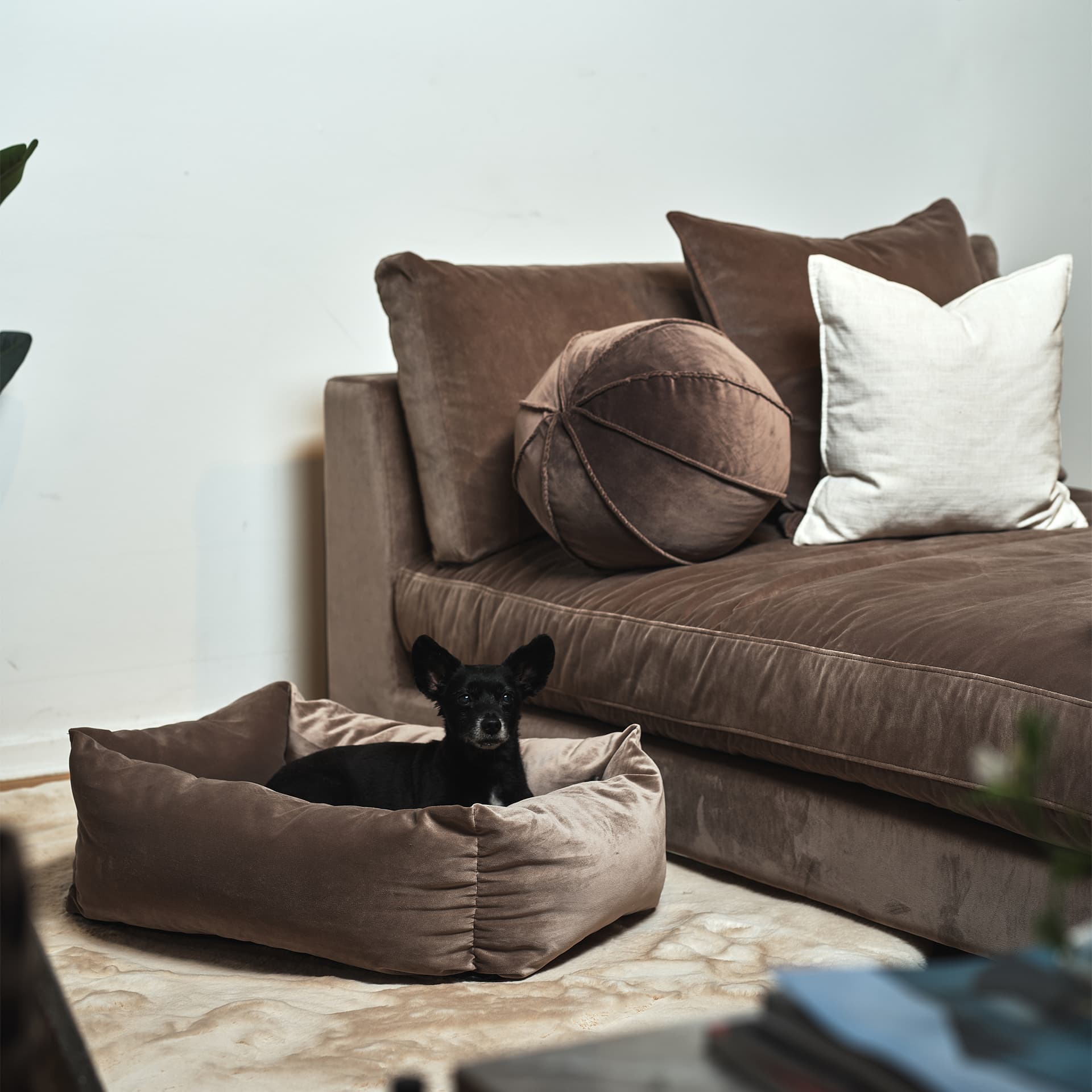 Weiche Hundebetten aus Samt und Leinen. 60x70, 90x70 | SWEEF